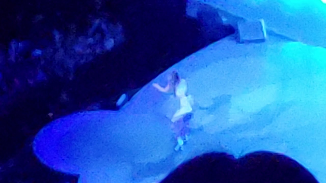 Ari concert she is so pretty and she is the best singer ever I love so ...