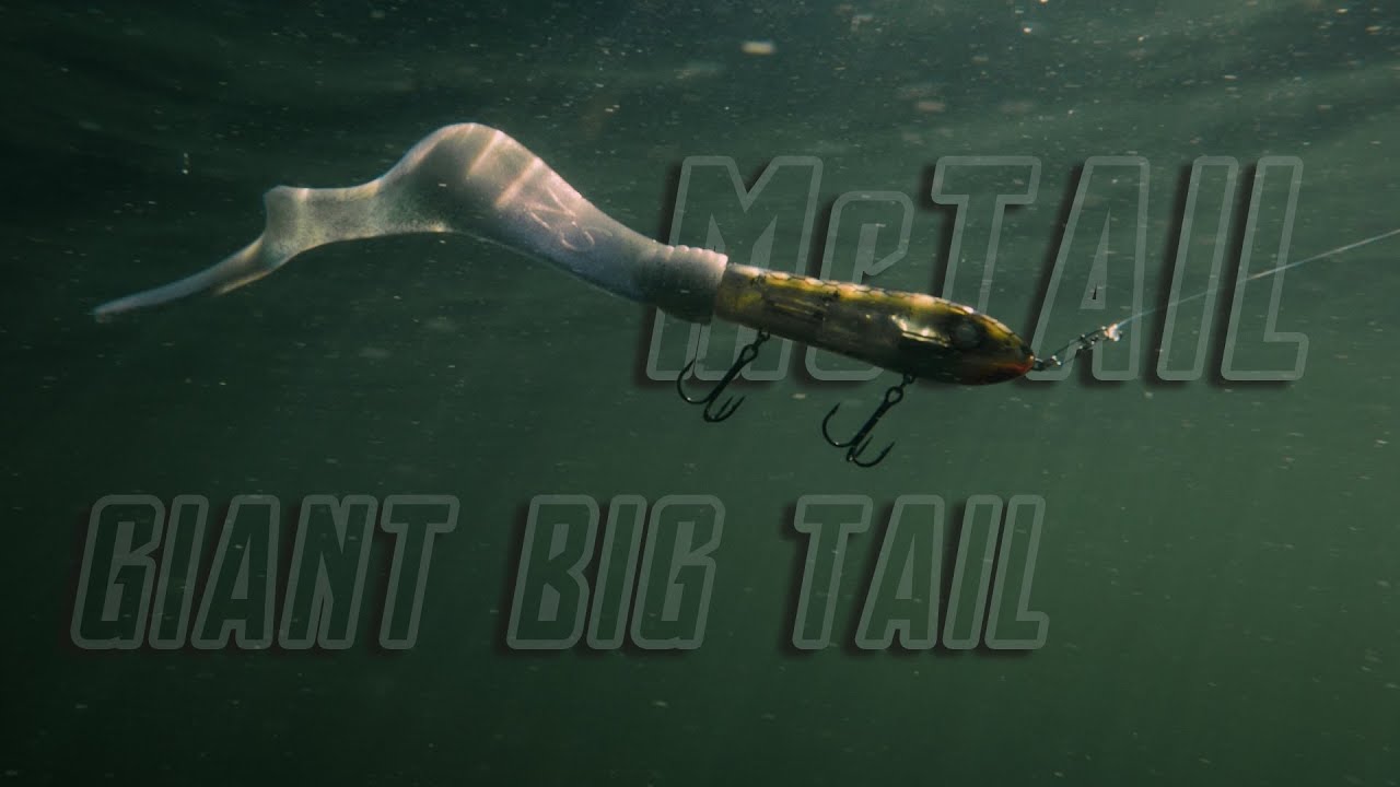 Giant BigTail By Svartzonker - YouTube