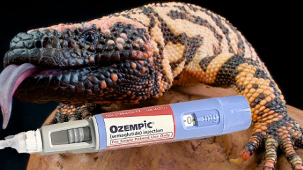 Gila Monster Venom Ozempic