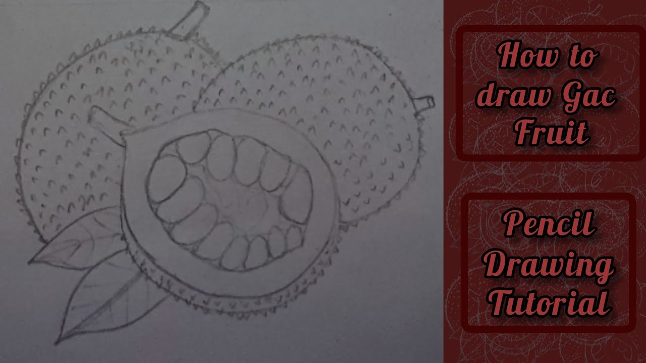 How to draw Gas Fruit #tutorial #gas #fruit #pencildrawing #howtodraw # ...