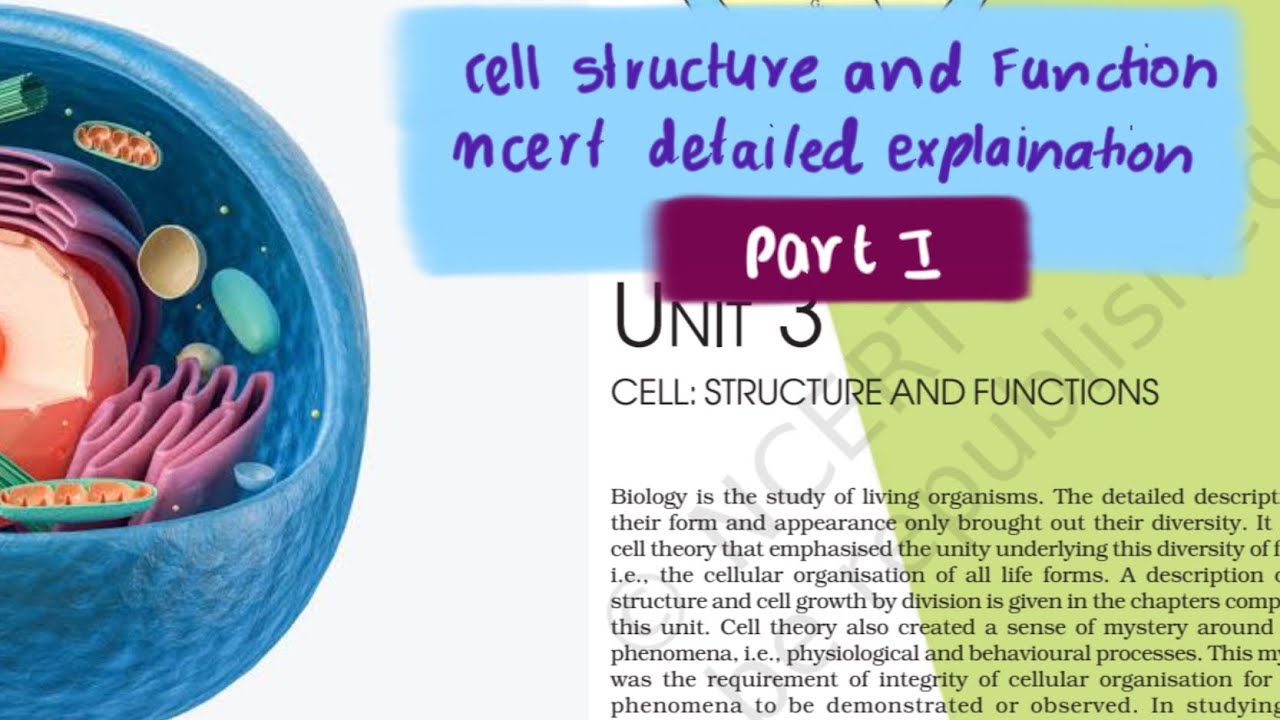 cell structure and function full NCERT explanation part 1 - YouTube