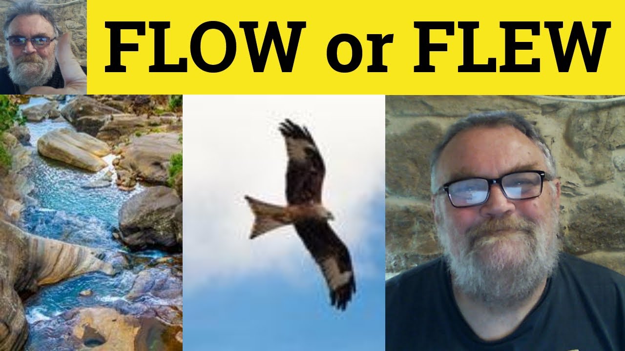 🔵 Flow or Flew - Flew vs Flow - Flew and Flow - Common Mistakes - ESL ...