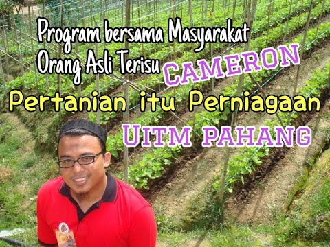 Selamat Datang ke Kg Orang Asli Terisu Cameron Highland