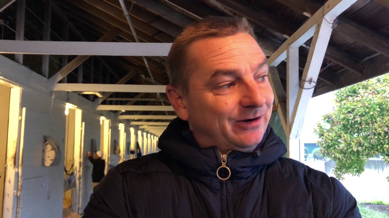 Breeders' Cup: Michael McCarthy on Axelrod, his 5-horse contingent ...