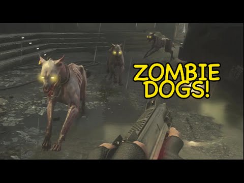 Call Of Duty Zombie Dogs