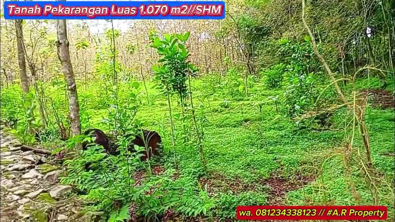 Dijual Tanah Pekarangan sdh SHM Luas 1.070 m² Harga 100 Juta..!!! - YouTube