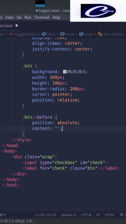Toggle HTML CSS - YouTube