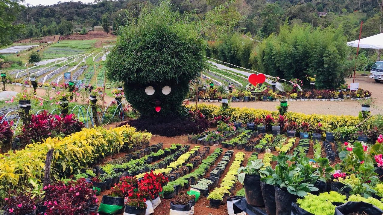 BEMWA FARM DAVAO DEL SURE - YouTube