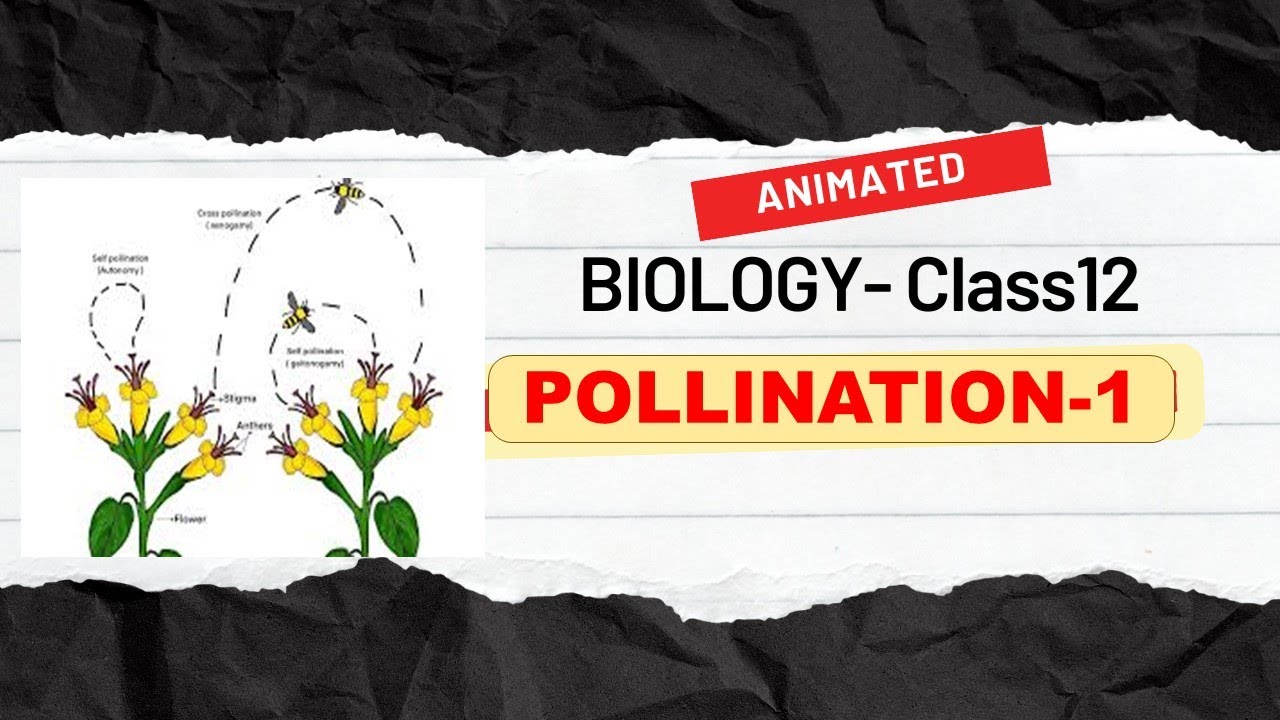 CLASS-12 : POLLINATION-1 | BIOLOGY | |Video-1 | ncert cbse icse - YouTube