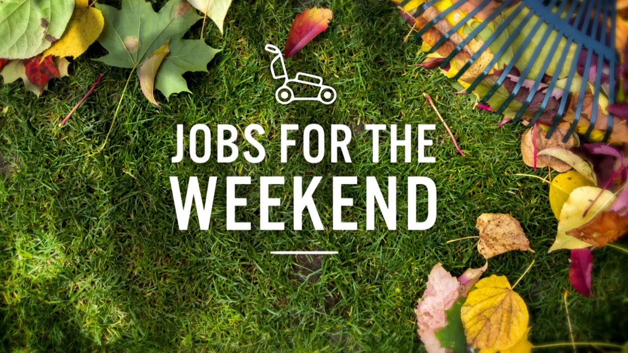 Autumn: week 1 | Jobs for the weekend | Gardening Australia - YouTube