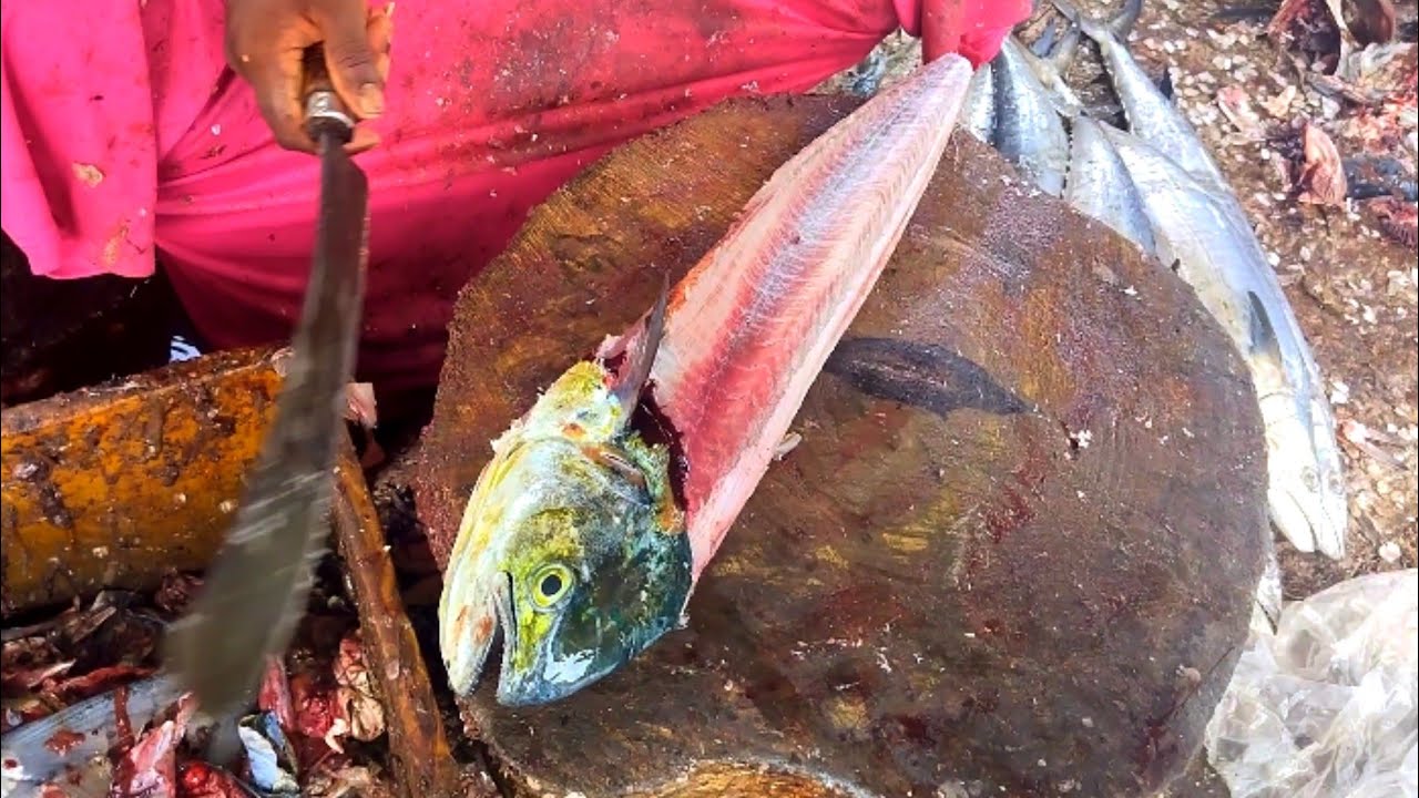 parla fish cutting video - YouTube
