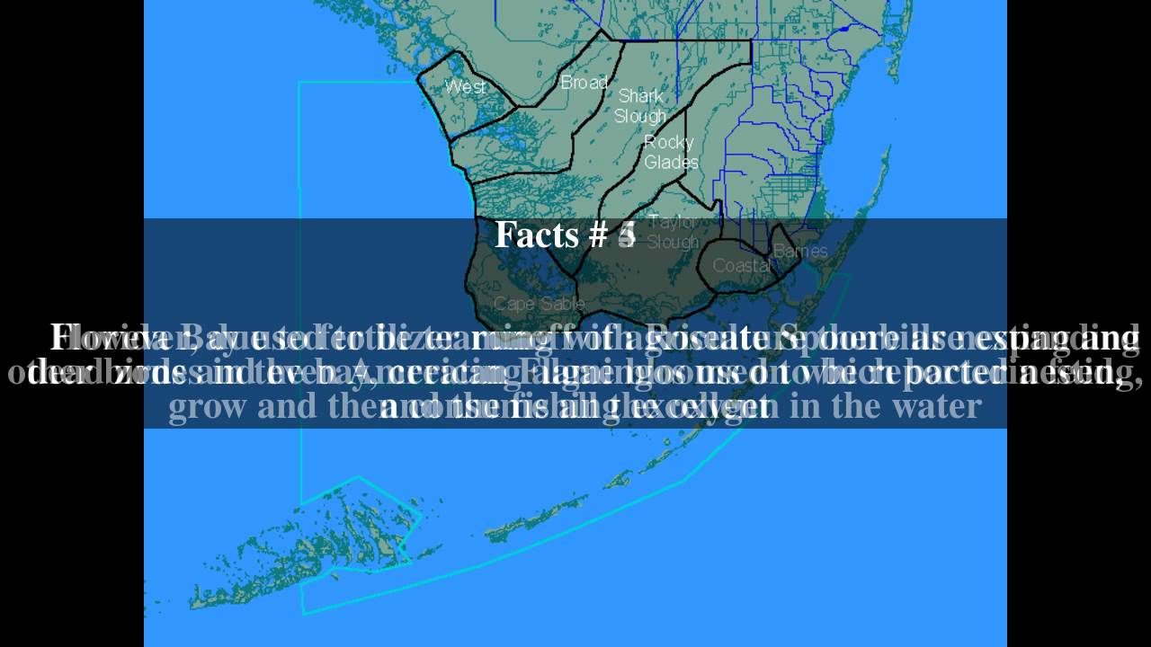 Florida Bay Top # 7 Facts - YouTube