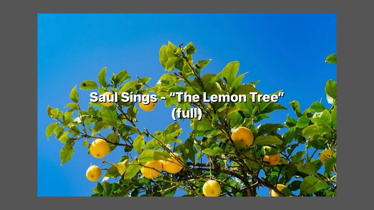 Saul Sings - “Lemon Tree” (full) - YouTube