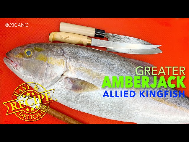 Yellowtail Amberjack Recipes