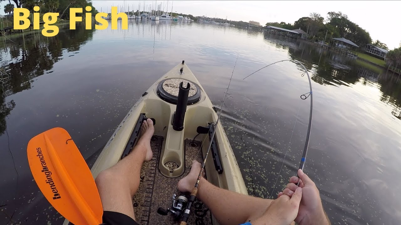 Fishing For Big Fish around Docks - YouTube