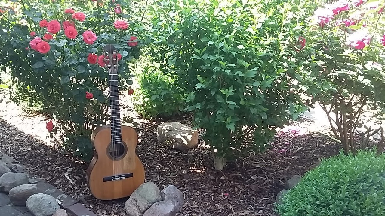 Humming Song - Robert Schumann - YouTube