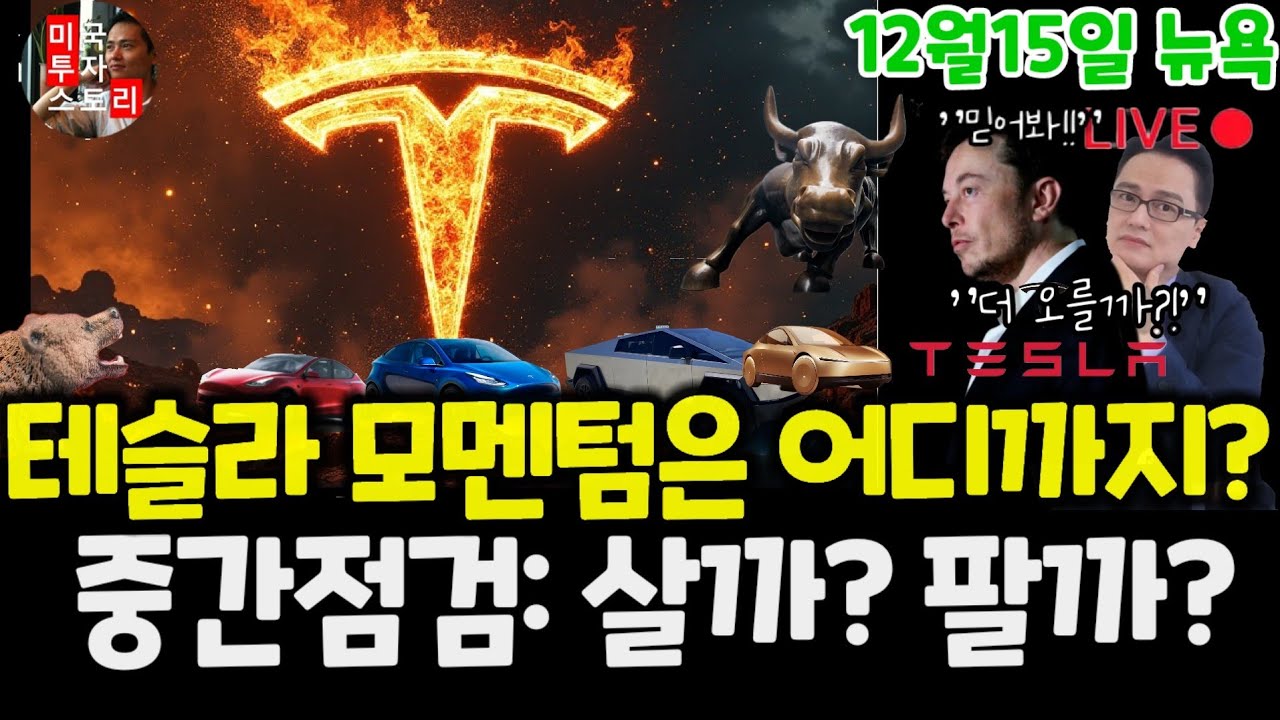 테슬라 모멘텀은 어디까지 중간점검 기관 공매도흐름 목표주가 적정주가 2025년 주당순이익 자율주행 로봇 사이버캡 옵티머스 일론 머스크 보상등 Tsla