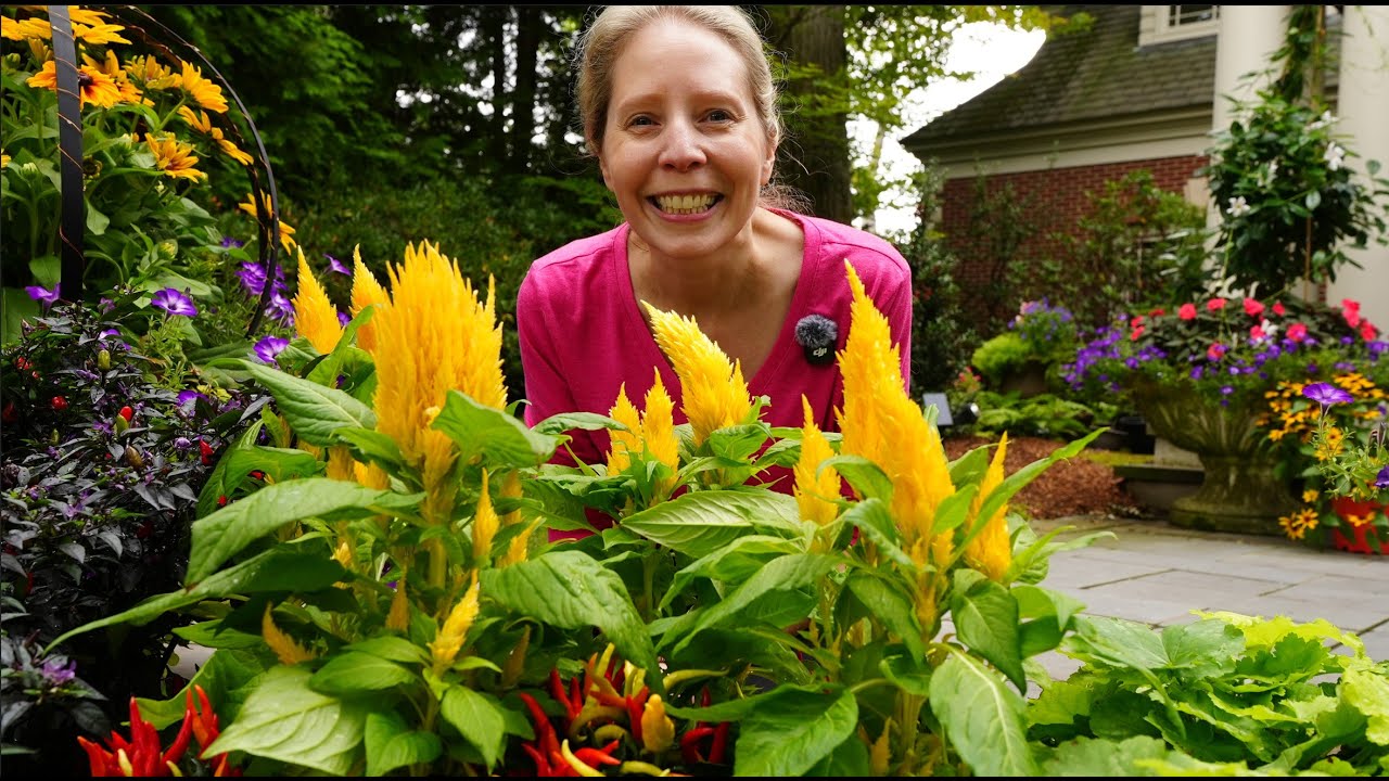 Fall Planting by the Brick Wall - YouTube