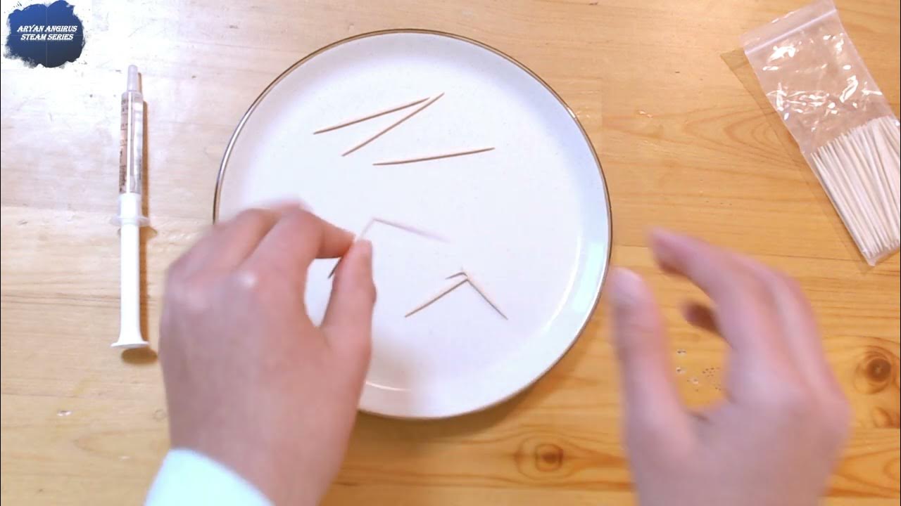 Toothpick Experiment | A fun experiment for the kids | How to keep ...