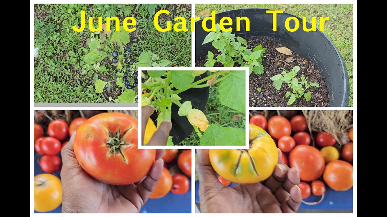 June Garden Tour - YouTube