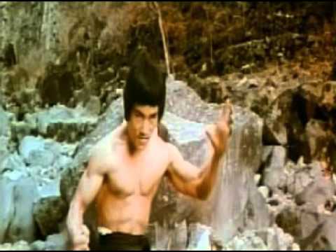el real BRUCE LEE