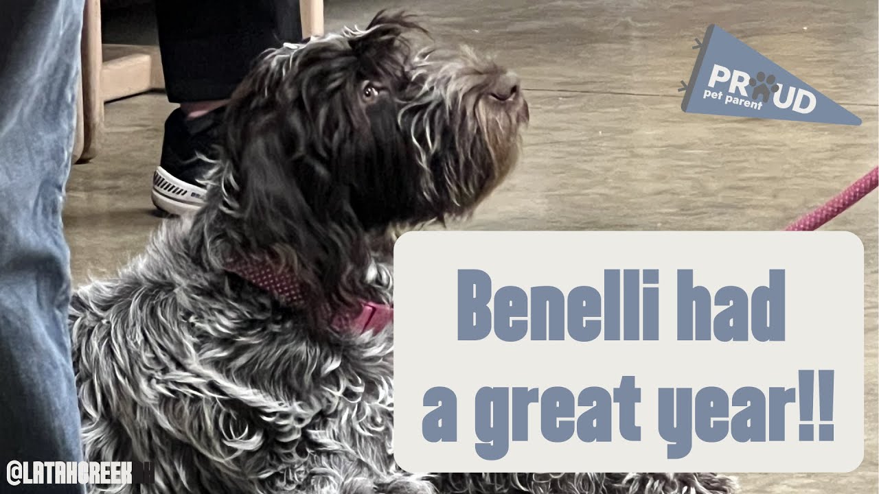 Benelli’s Puppy Visits: Her 1st Year!! - YouTube