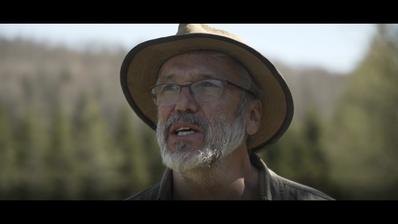 CEBR capsule #2: Haies brise-vent - YouTube