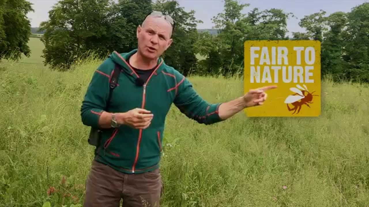 Fair to Nature farming with Mike Dilger - YouTube