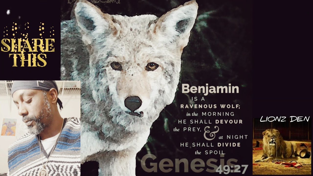 "BENJAMIN SHALL RAVEN AS A WOLF - GEN 49:27" (EDIFICATION) @VocabMalone ...