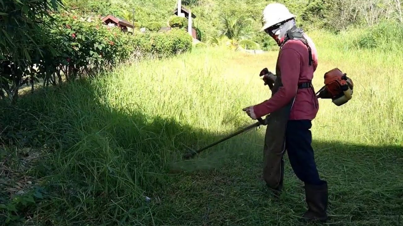 Extremely Overgrown grass cutting/ ground maintenance - YouTube