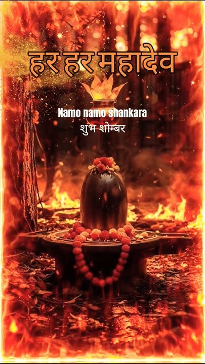 Namo Namo shankara ! Mahadev status! Bholenath status ️#status#youtubeshorts#mahadev#bholenath# ...