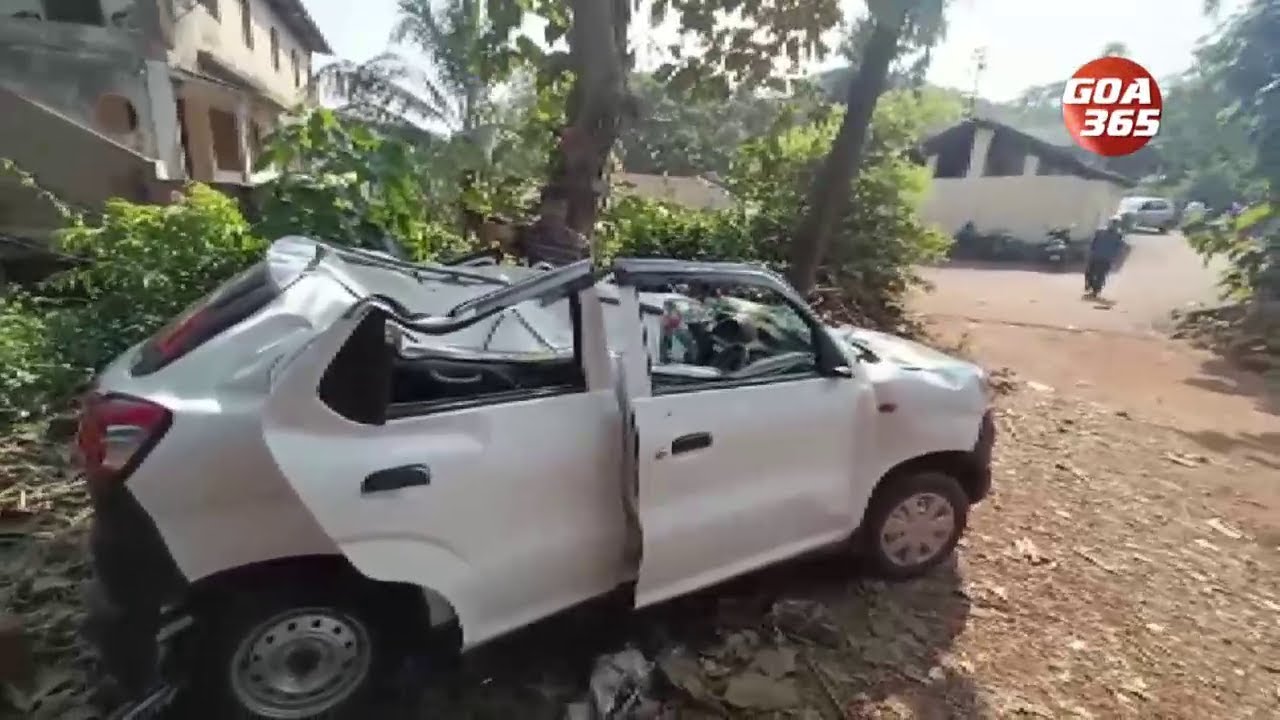 Freak accident: Woman crushed to death after tree collapses on car in ...