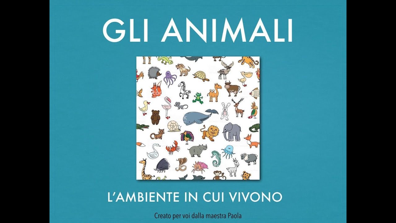 SCIENZE - Gli animali (l’ambiente in cui vivono) - YouTube