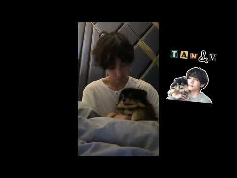 BTS V + Yeontan's CUTEST VLIVE to Cheer Up AR.M.Y. because JHOPE is leaving #btsarmy #taehyung #bts