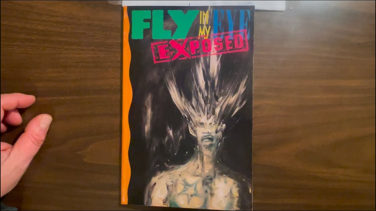 Fly In My Eye Exposed: final issue, with great stories by Rick Geary ...