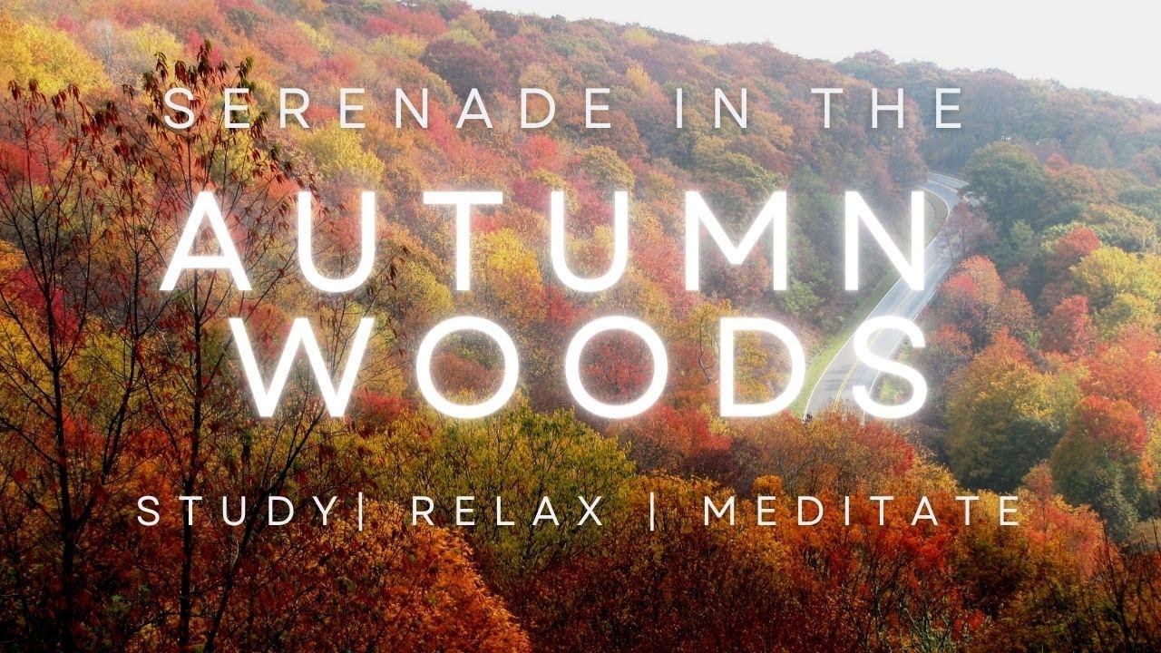 Serenade in the Autumn Woods: Relaxing Fall Music, Autumn Time Playlist ...