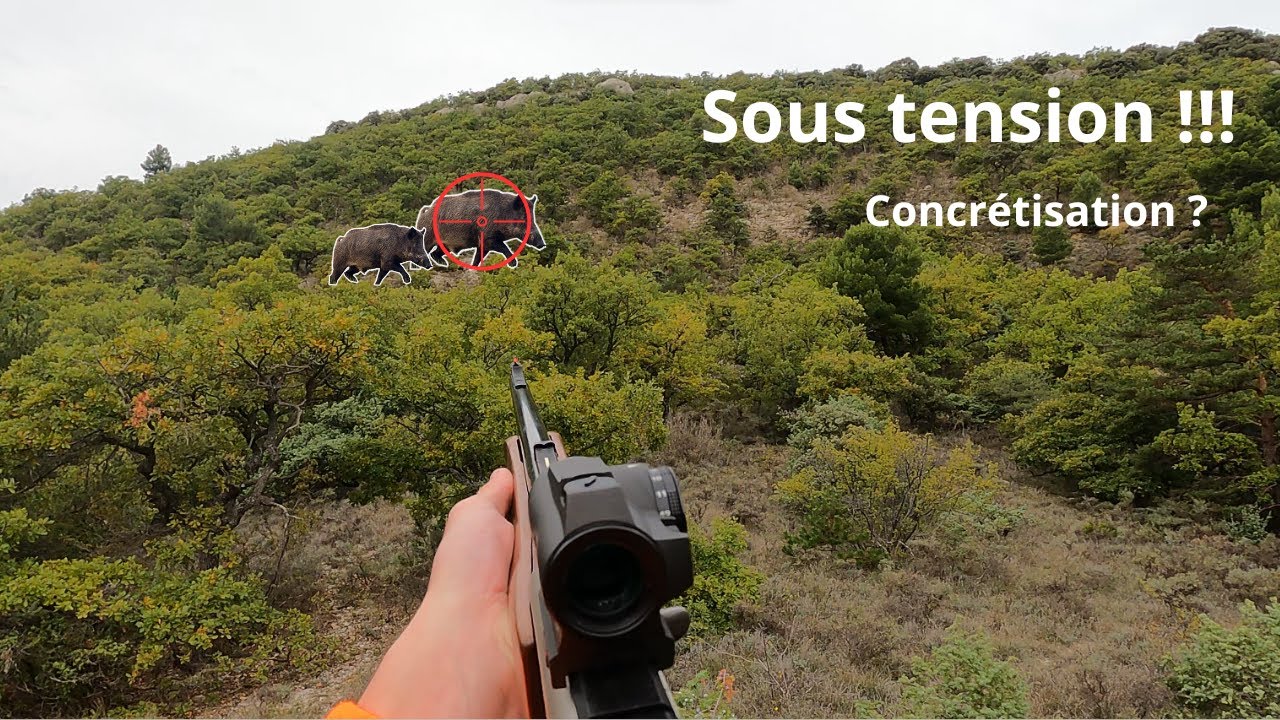 TIR D'UN SANGLIER - Battue aux sangliers (4K) - YouTube