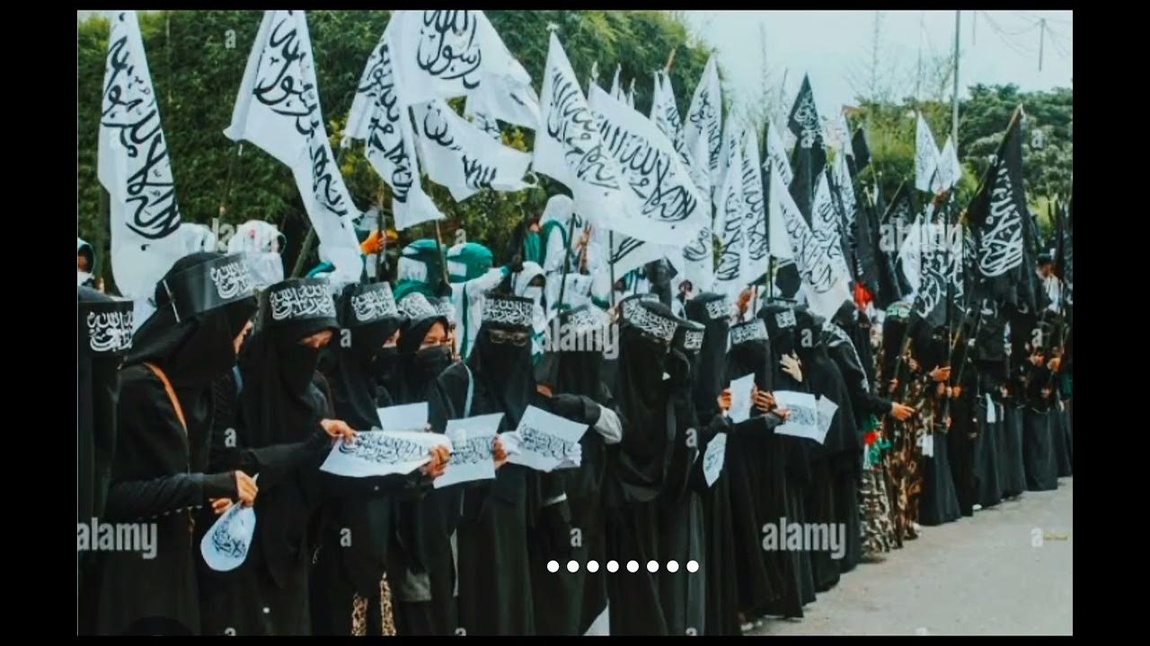 29 January 2024 - YouTube