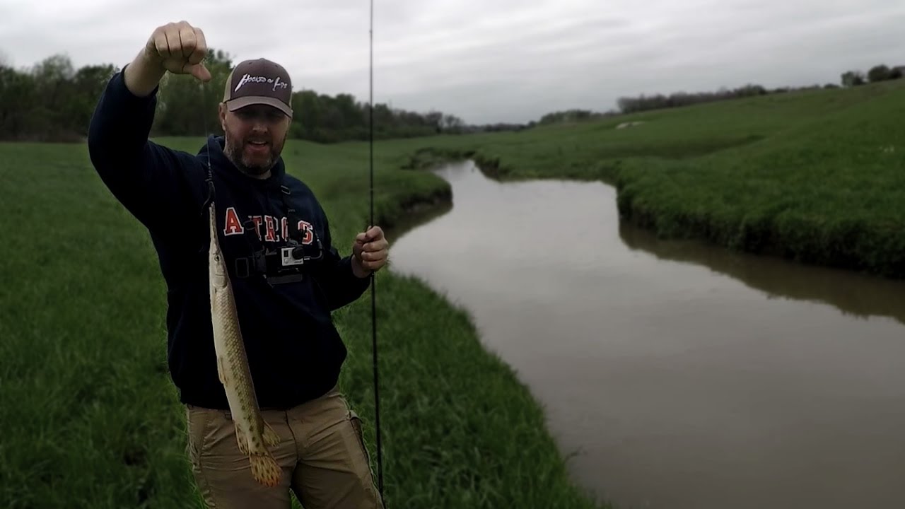 Houston Area Bayou Fishing | Largemouth Bass Fishing in Katy, TX - YouTube