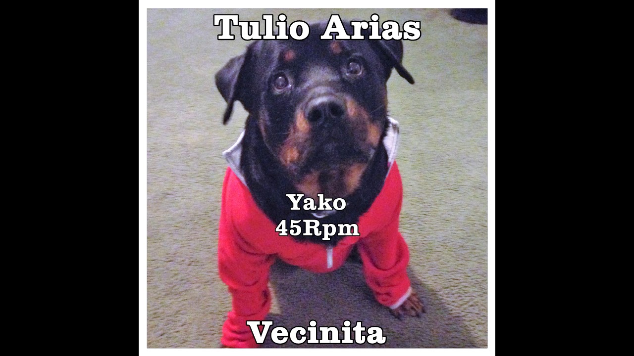 Tulio Arias=Vecinita - YouTube