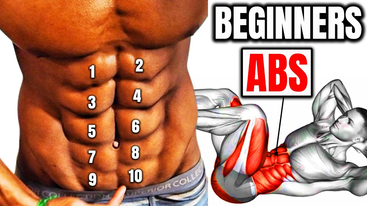 The Perfect 8 Beginners Abs Exercises💪| How To Get Six-packs Abs Fast ...