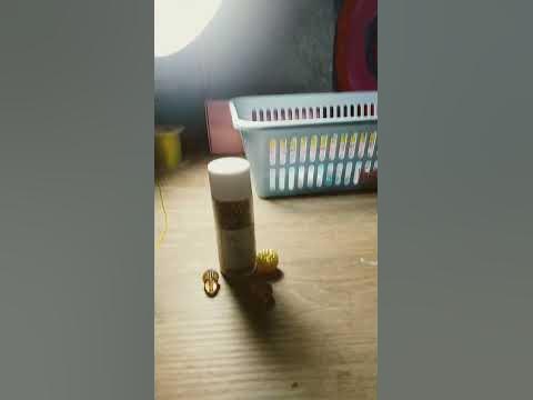 леска слишком толстая была 😶😔 - YouTube