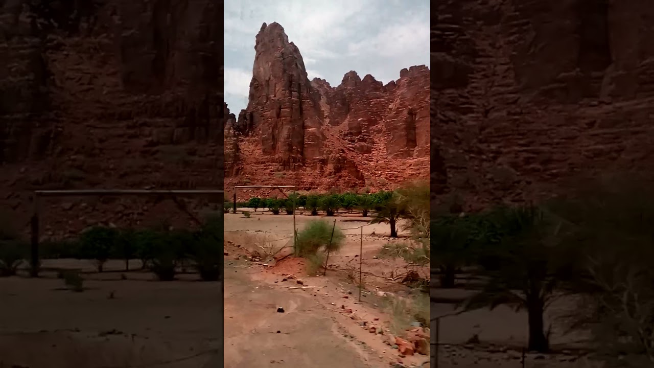 Saudi Arabia Travel: Jeddah to AL Bada'a, Tabuk Ksa..to see Moses cave ...