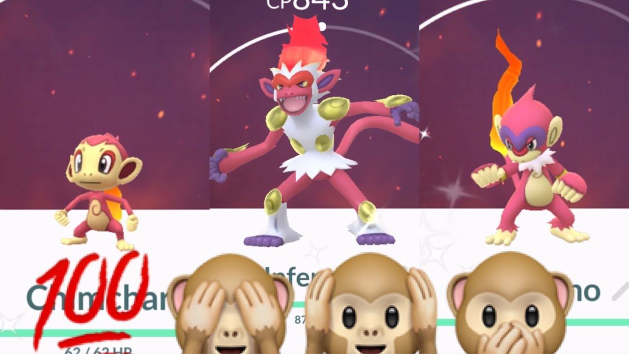 CATCHING NEW 100 IV SHINY CHIMCHAR IN POKÉMON GO!!! (Max CP Shiny ...