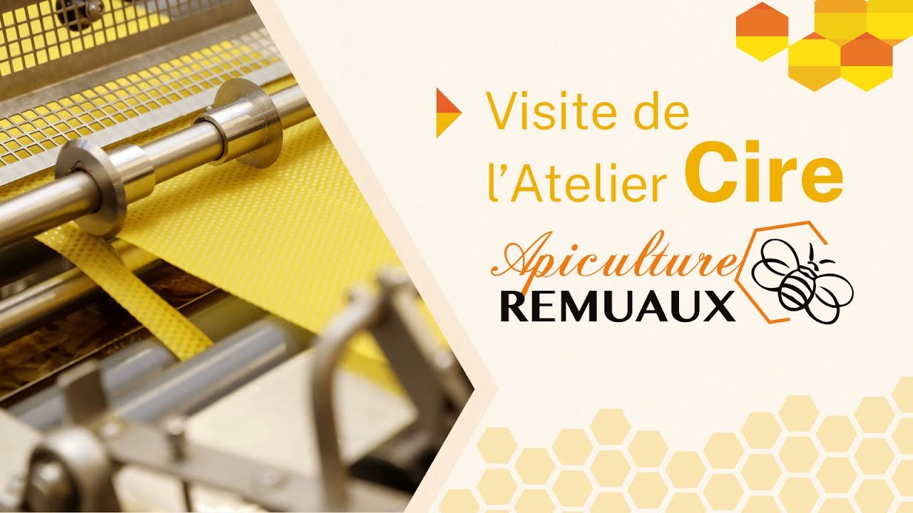 Visite de l'atelier cire Apiculture Remuaux - YouTube
