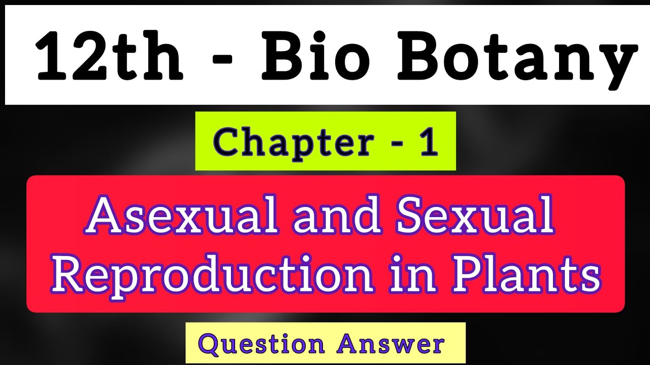 12th Bio Botany chapter 1 question answer | Asexual and sexual ...