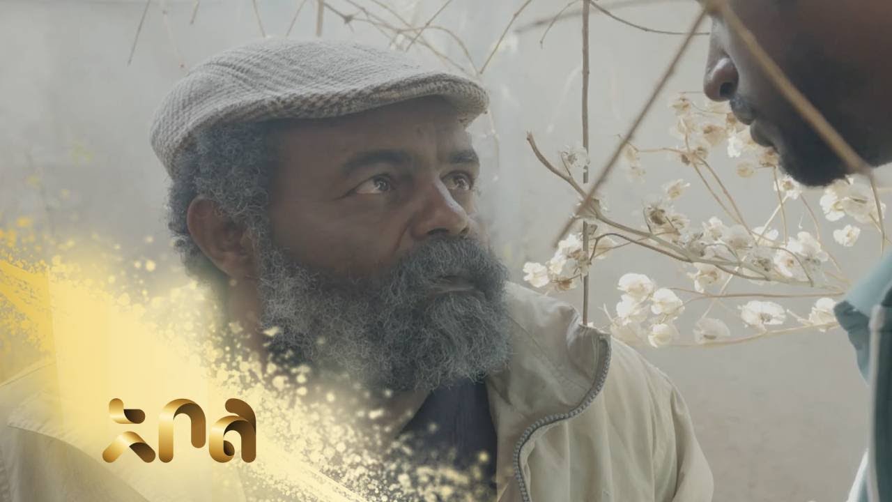 ፍኖት ተጎድታለች – ጥላ | ም ዕራፍ 1 | ክፍል 10 | አቦል ቲቪ | Abol TV - YouTube