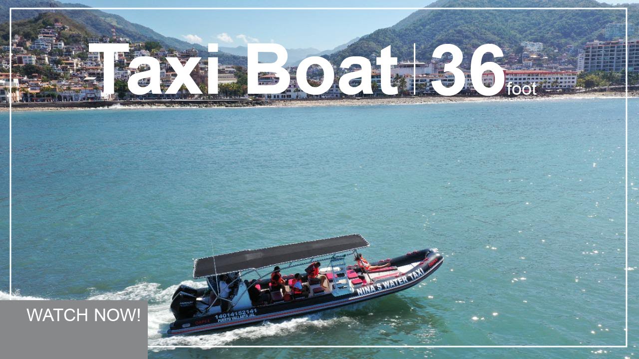 APEX BOATS - Large Taxi RIB Boat in Mexico - Boat tours in Vallarta ...