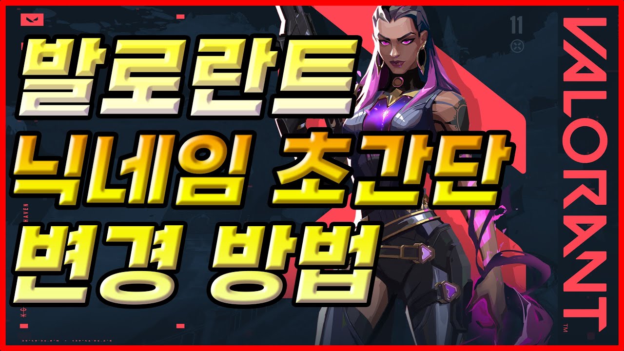 발로란트 닉네임 변경 바꾸는 초간단방법 설명 Youtube