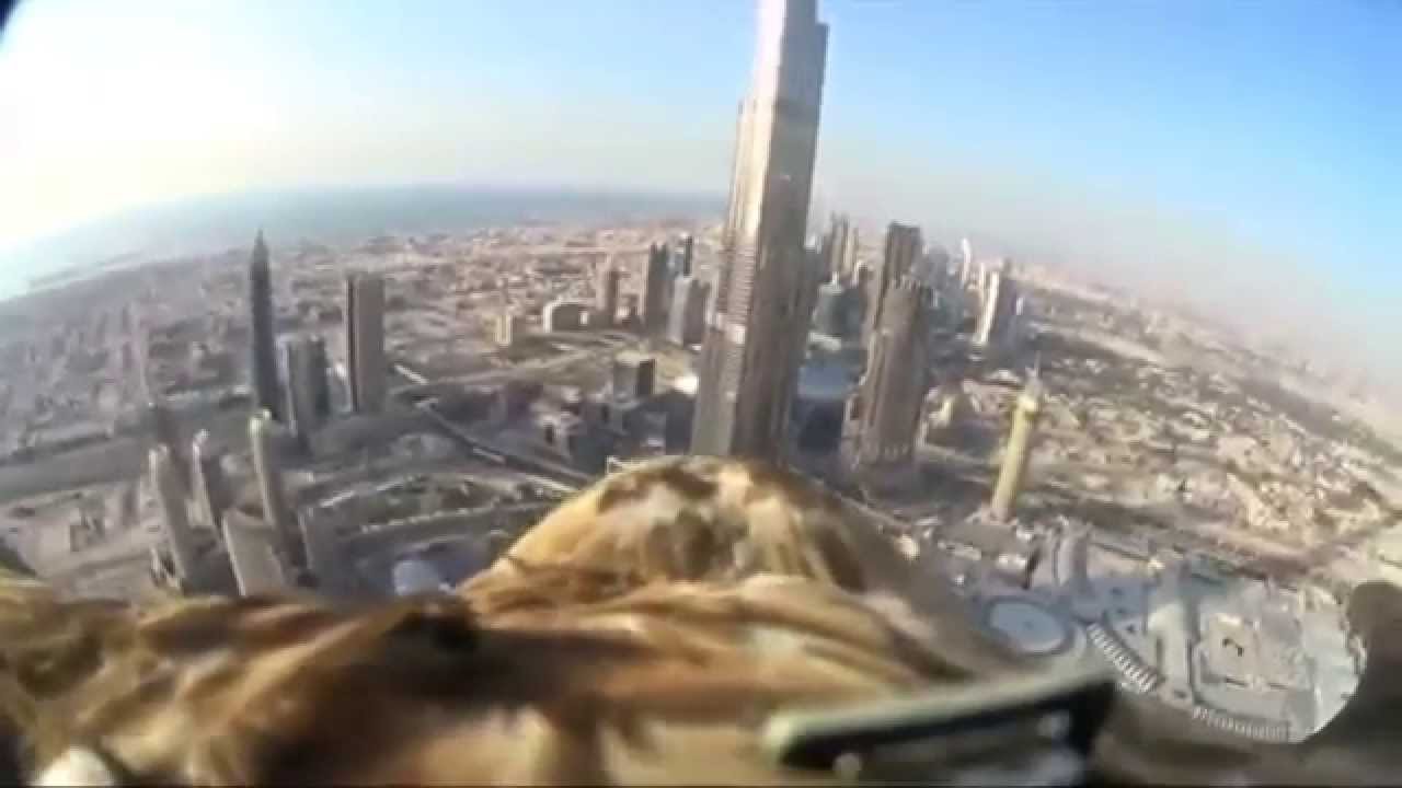 Rishloo - The Water is Fine - YouTube